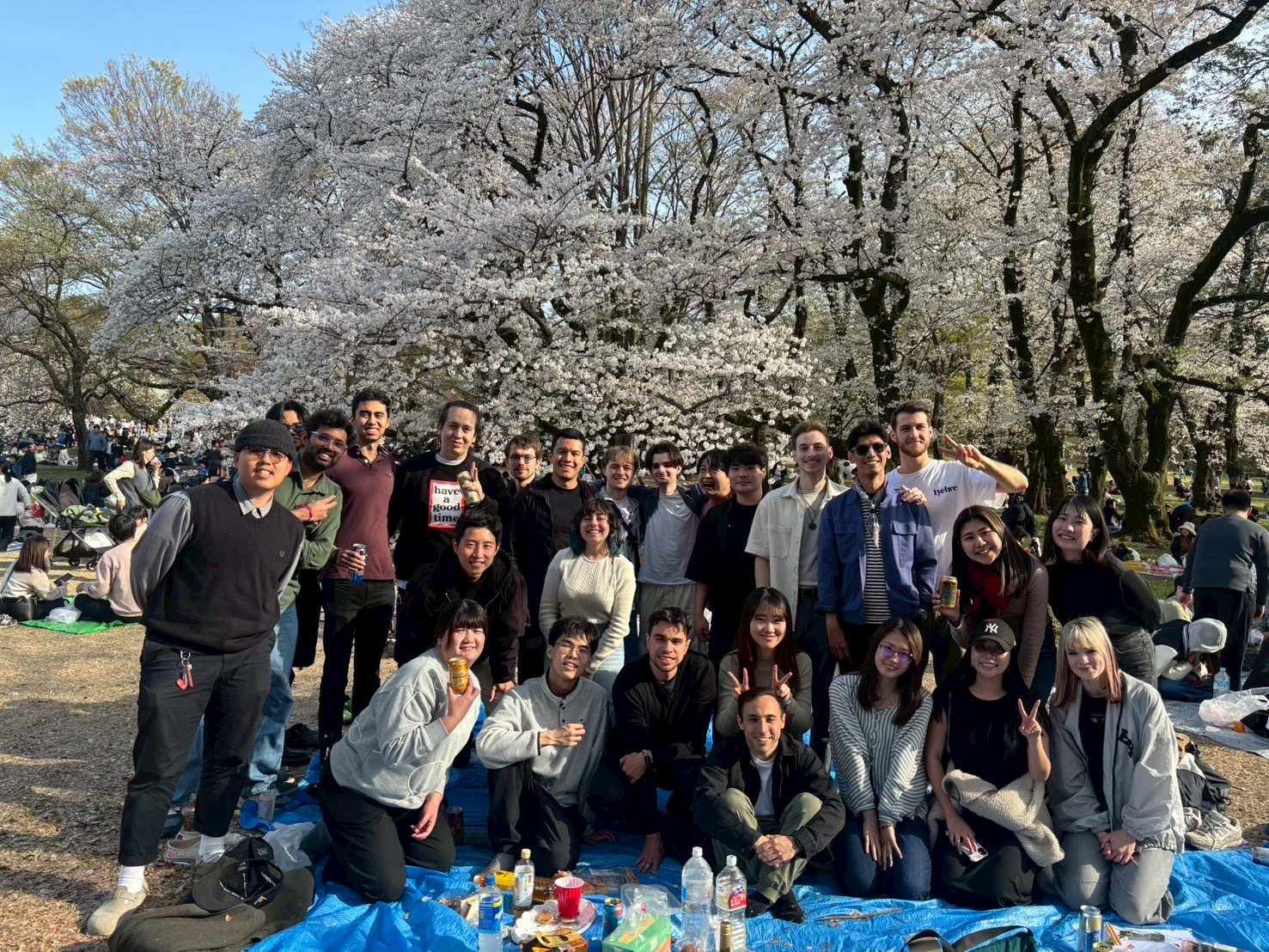 Hanami Event at Kinuta Park - share house in Japan, Tokyo. [interwhao]
